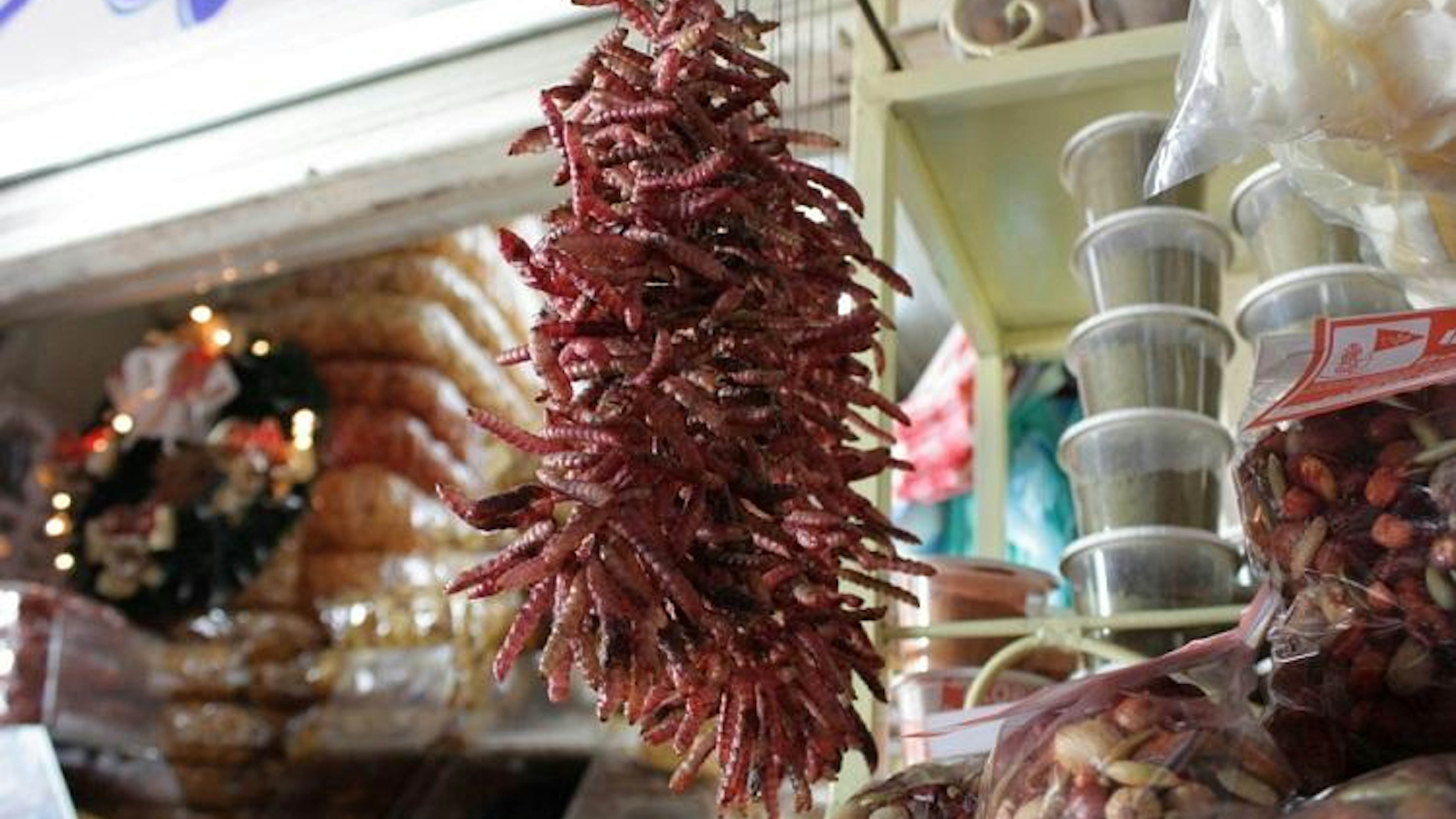 The 10 Tastiest Insects And Bugs In Mexico Lonely Planet