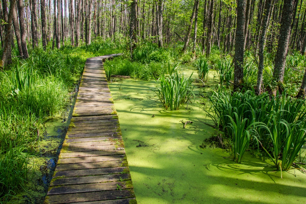 10 reasons to visit Latvia - Lonely Planet