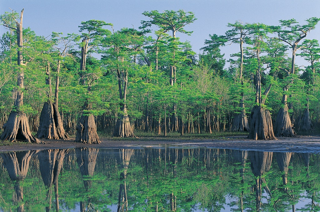 5 perfect trips on the Florida peninsula - Lonely Planet