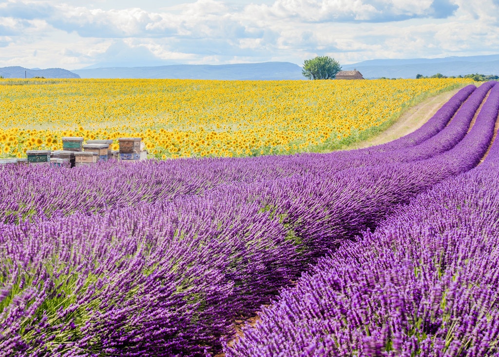 First-time France: where to go and what to do – Lonely Planet - Lonely ...