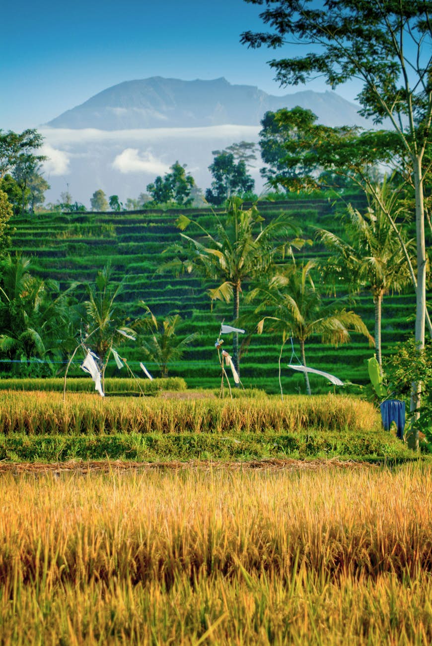 Off the tourist trail in Bali: the best less-visited spots - Lonely Planet