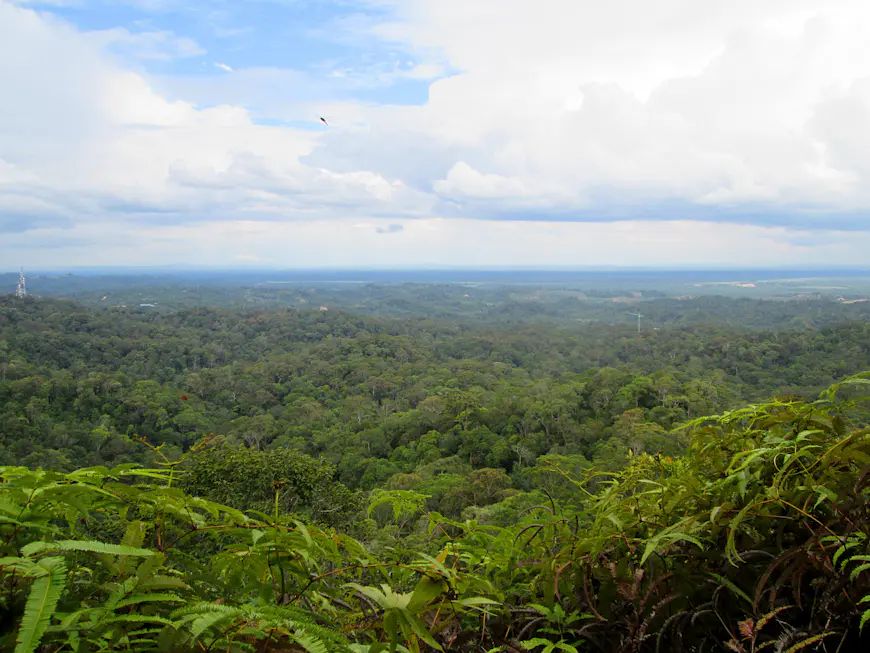 Into the heart of Borneo: a guide to Sarawak’s national parks - Lonely ...