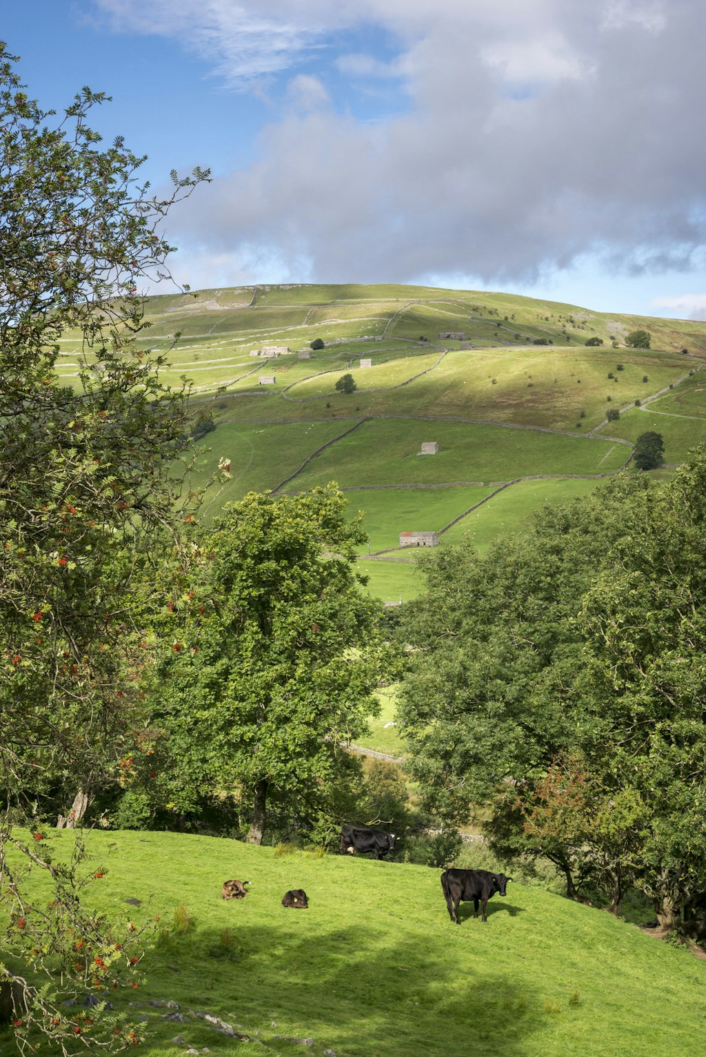 The rise and rise of Yorkshire's food and drink scene - Lonely Planet