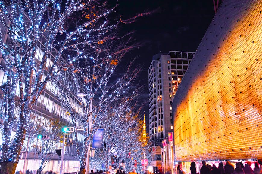 Tokyo in winter: what to do - Lonely Planet
