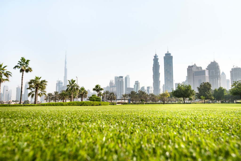 Where to go for a winter walk in Dubai – Lonely Planet - Lonely Planet