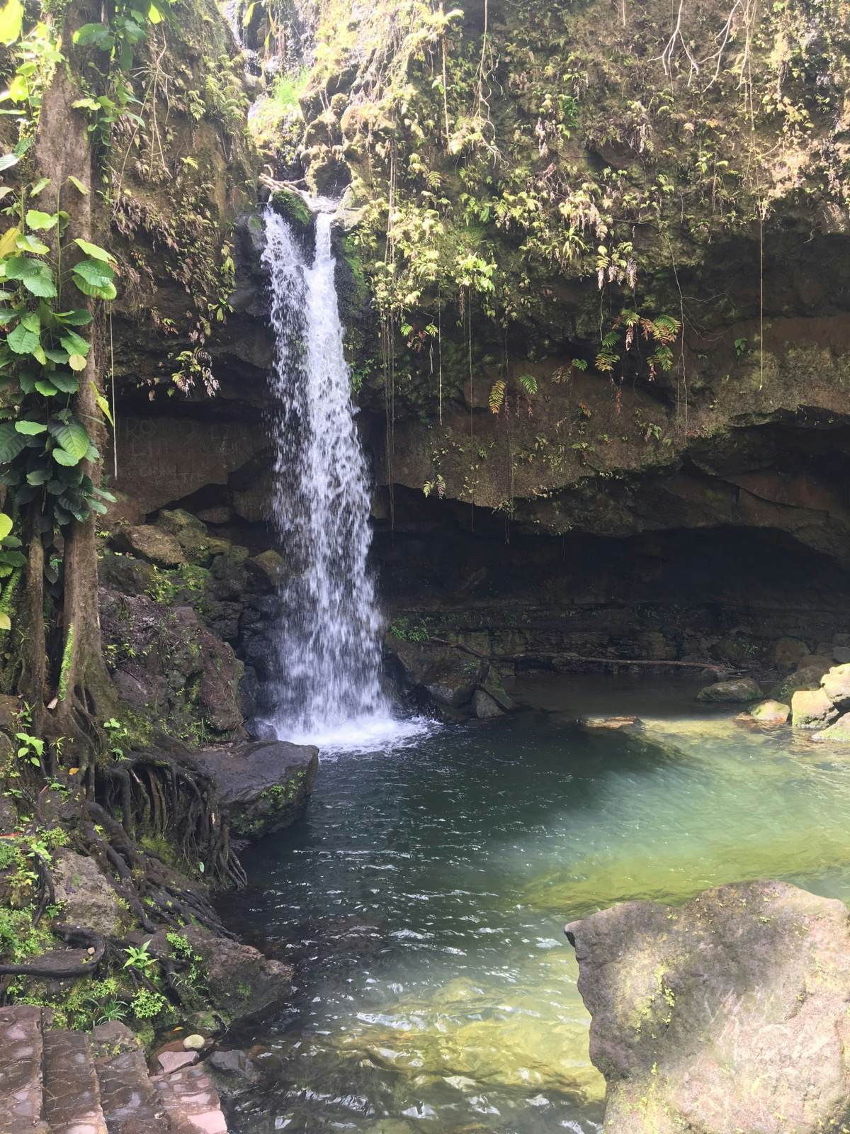 Take a hike, Dominica: the Caribbean's most adventurous island - Lonely ...