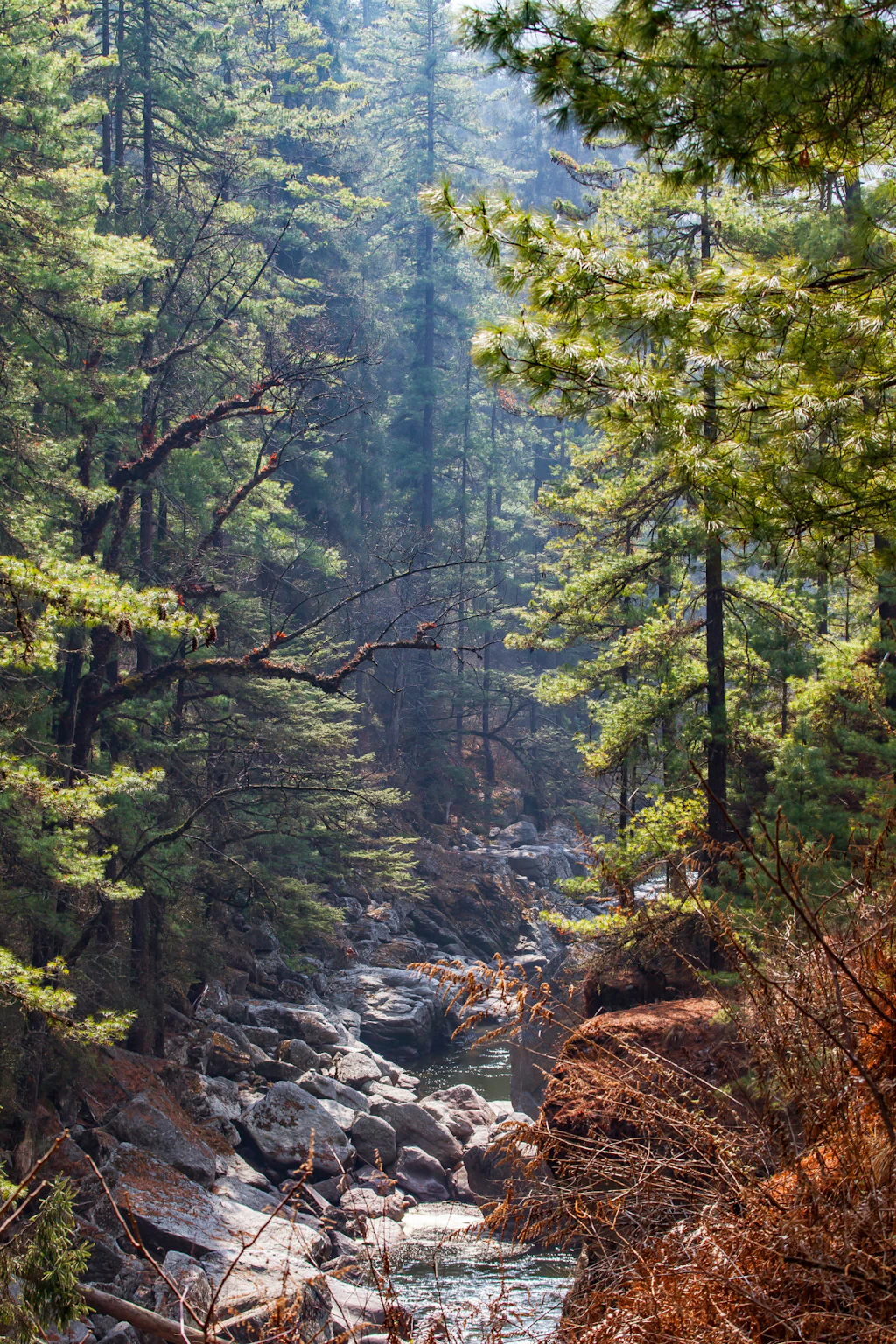Beyond Thimphu: Discovering Bhutan's Hidden Treasures - Lonely Planet