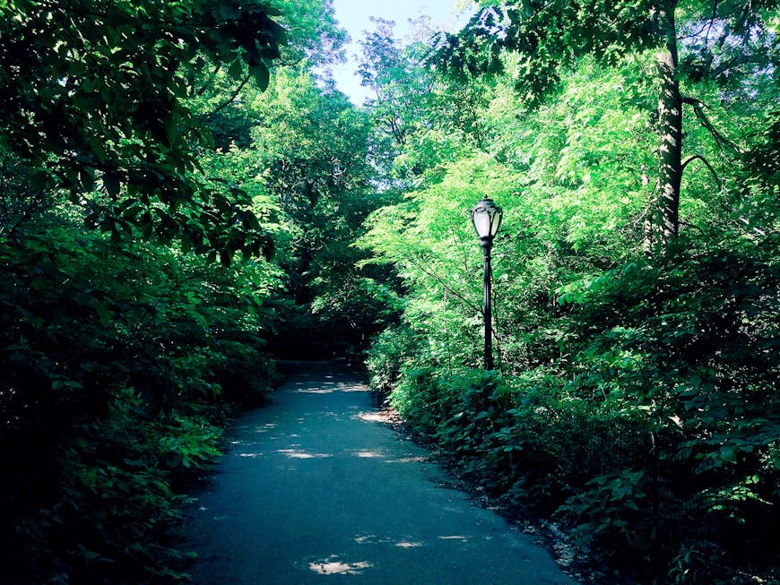Top 10 things to do in Central Park in the summer – Lonely Planet ...