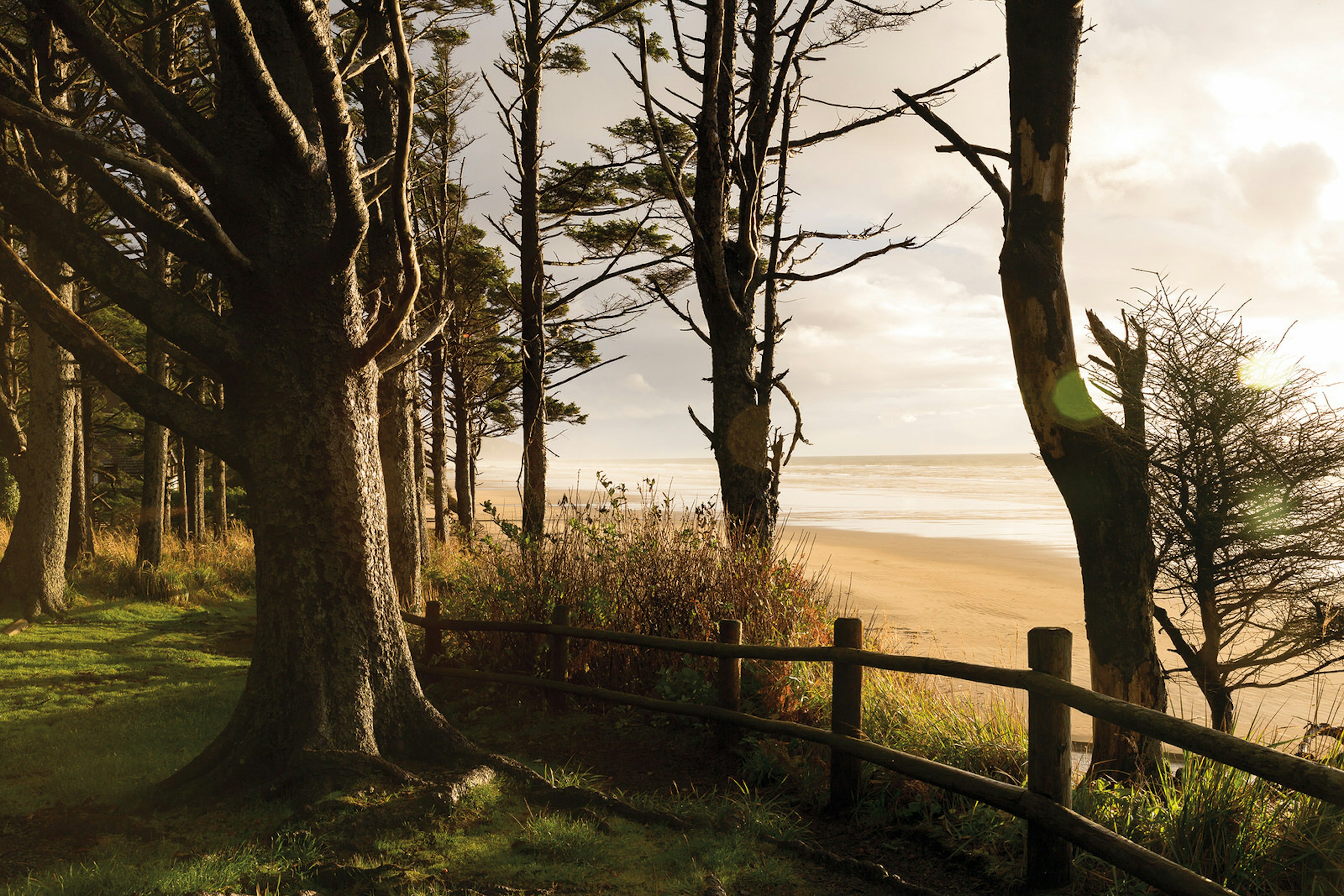 On the Oregon food trail – Lonely Planet Magazine - Lonely Planet