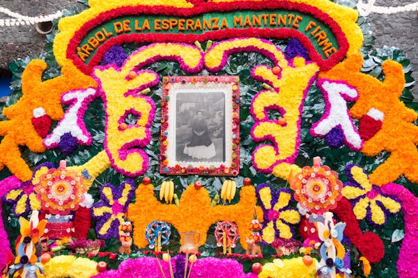 Finding Frida: Mexico City through the eyes of an icon - Lonely Planet