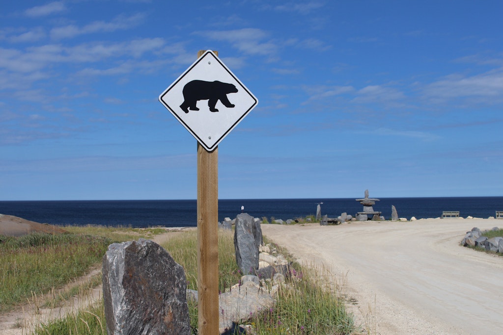 Remote and rugged adventures in Churchill, Manitoba - Lonely Planet