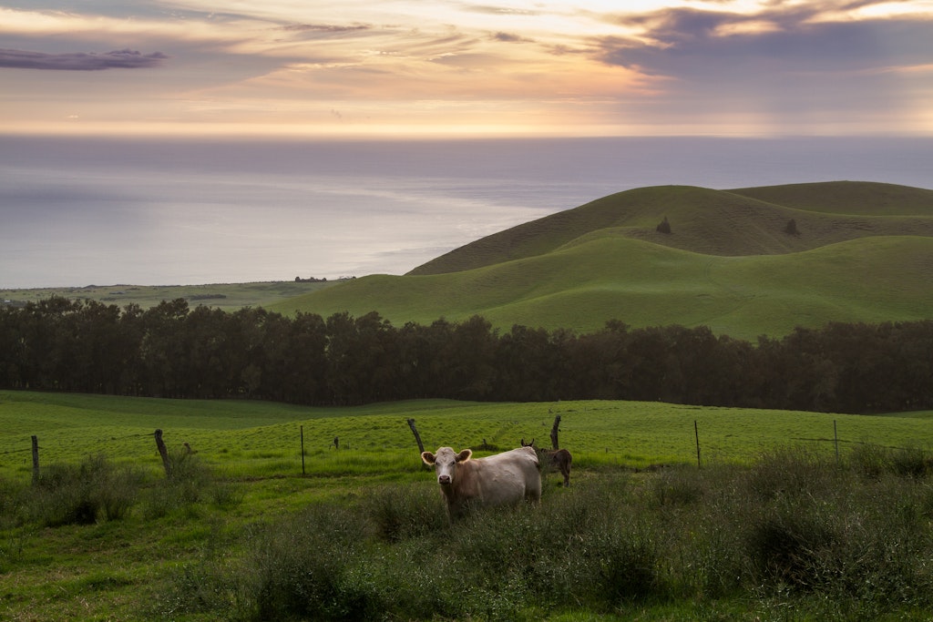 Circling the island of Hawaiʻi: a pilgrimage to Mother Nature - Lonely ...