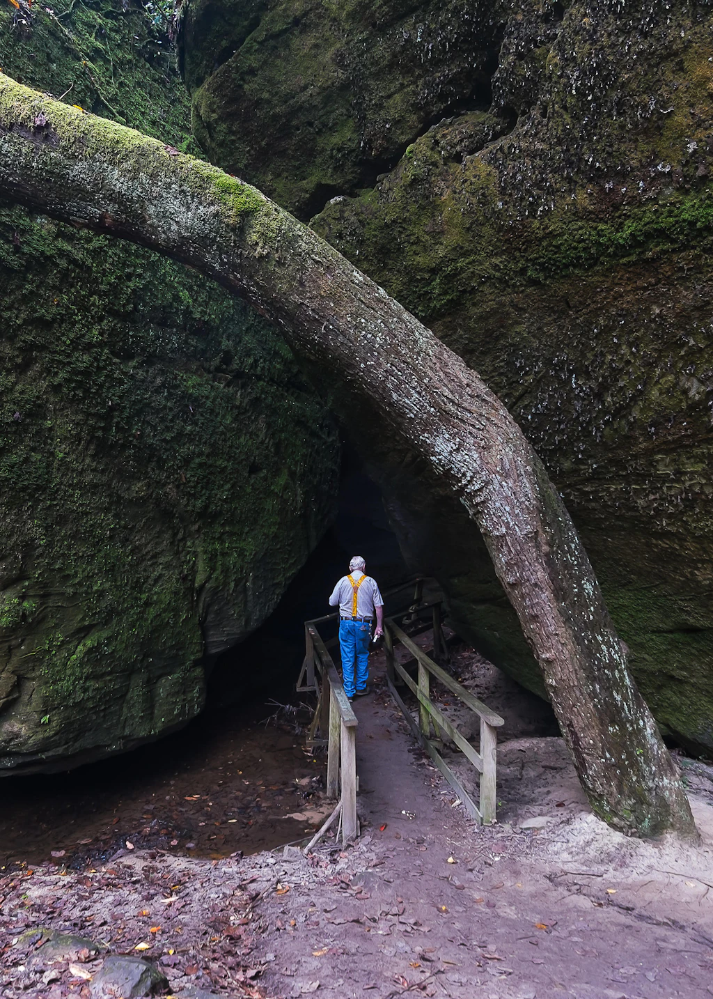 Best places to see bioluminescence in 2022 – Lonely Planet - Lonely Planet