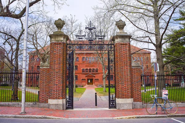 How to cheat your way around Harvard – Lonely Planet - Lonely Planet