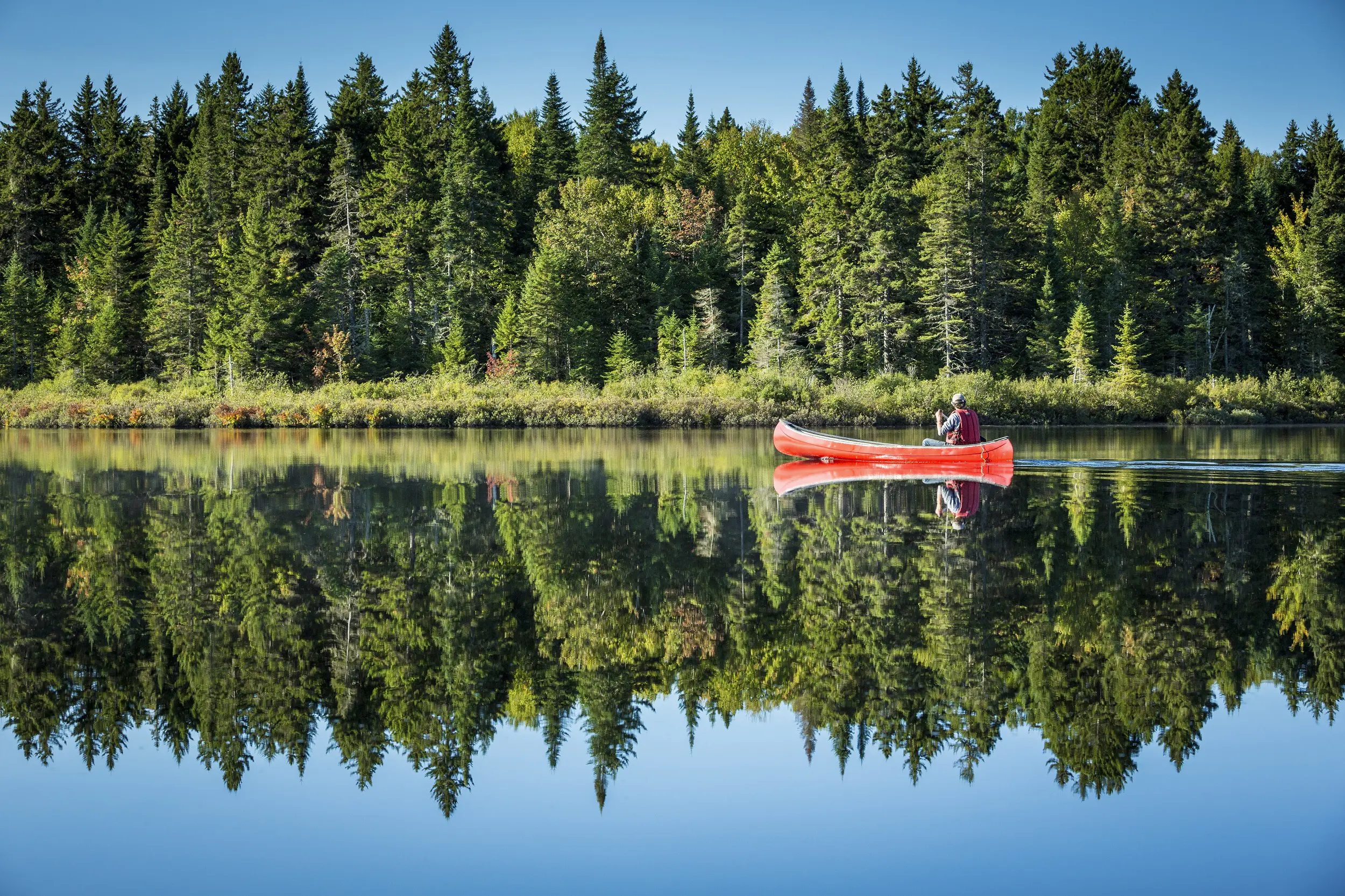 Canoe Canada's wilderness on these iconic waterways - Lonely Planet