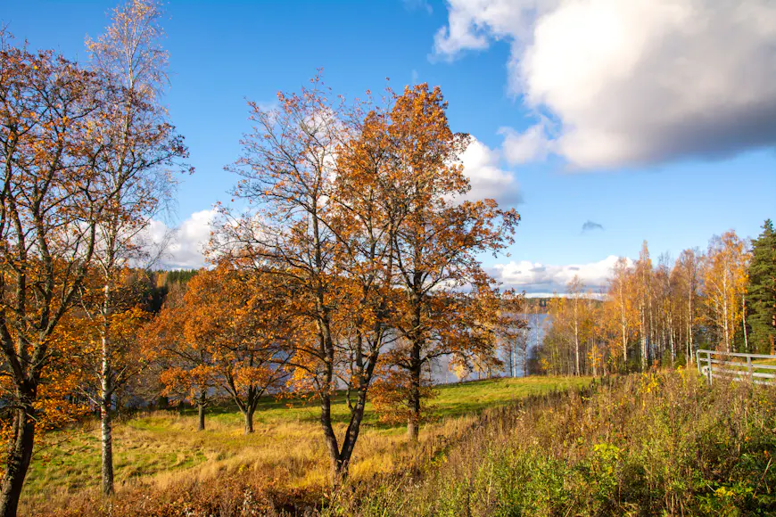 Autumn in Finland: an alternative fall foliage tour - Lonely Planet