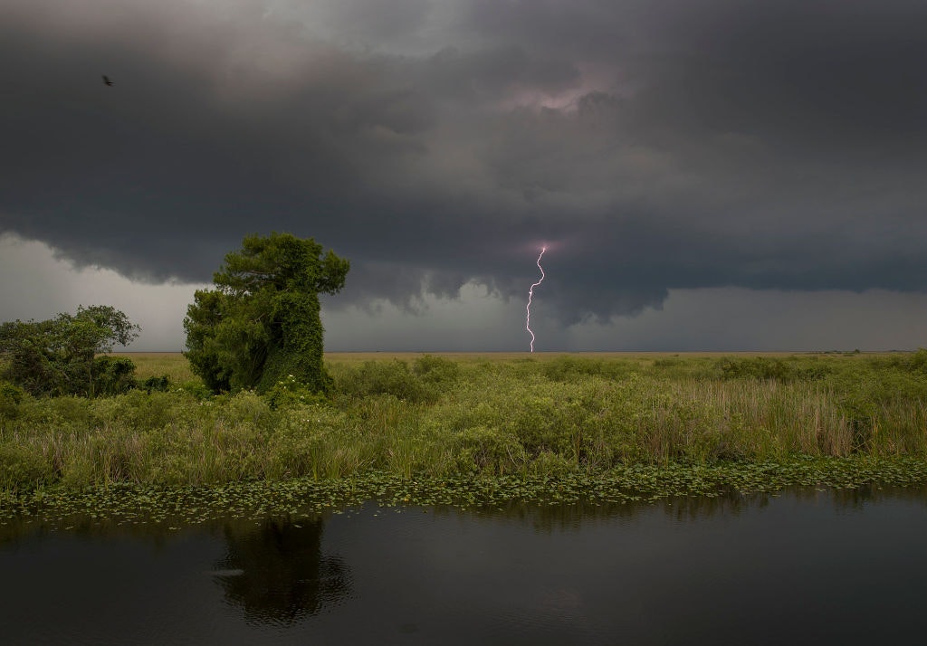 Three sustainable ways to experience the Everglades - Lonely Planet