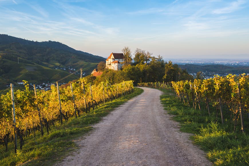 Germany’s off-the-beaten path wine regions - Lonely Planet
