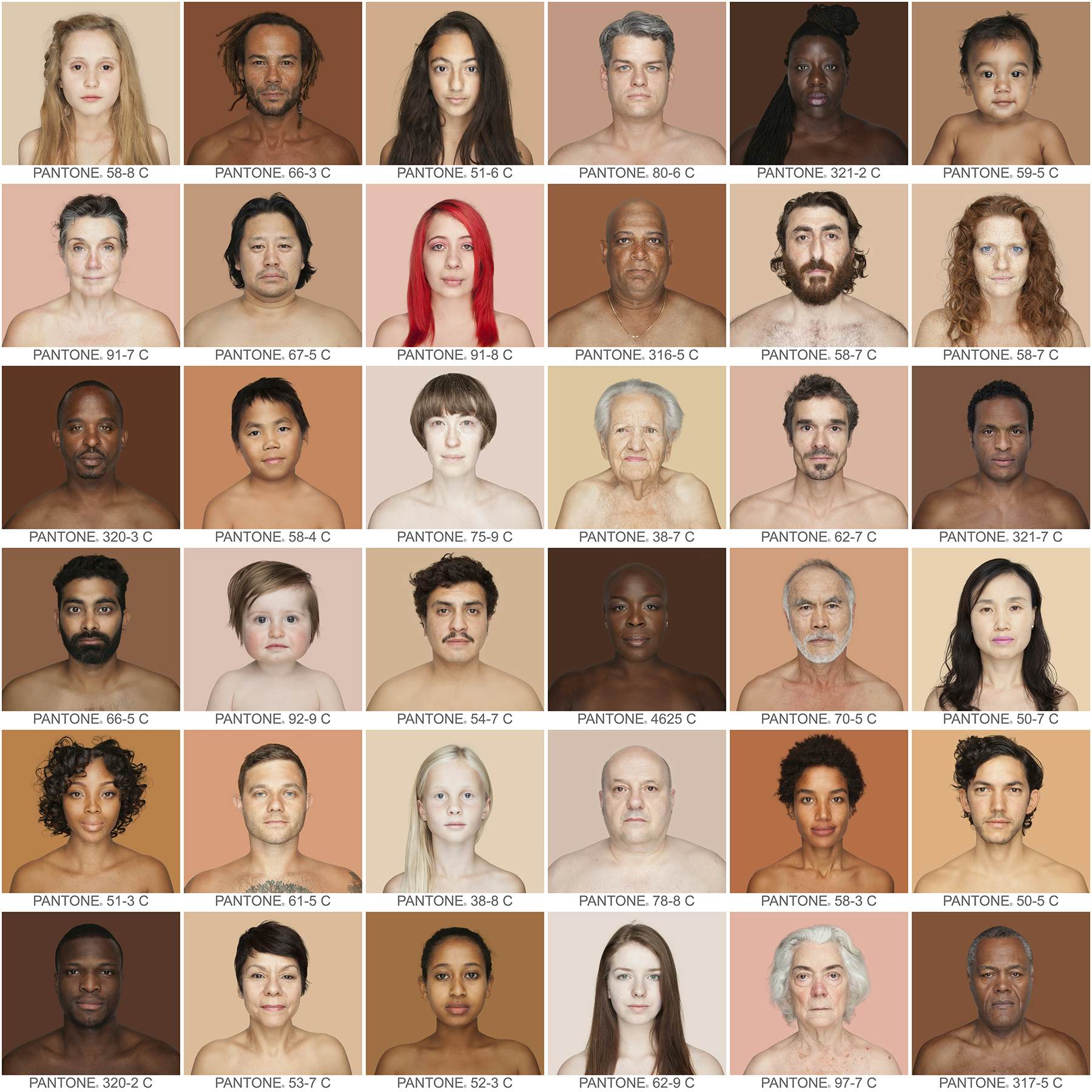 The American Museum of Natural History is celebrating color