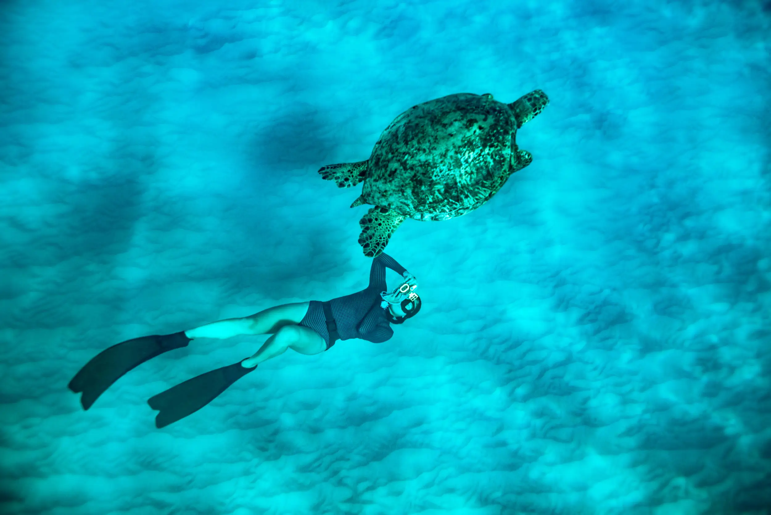 An expert’s guide to underwater photography for everyone – Lonely ...