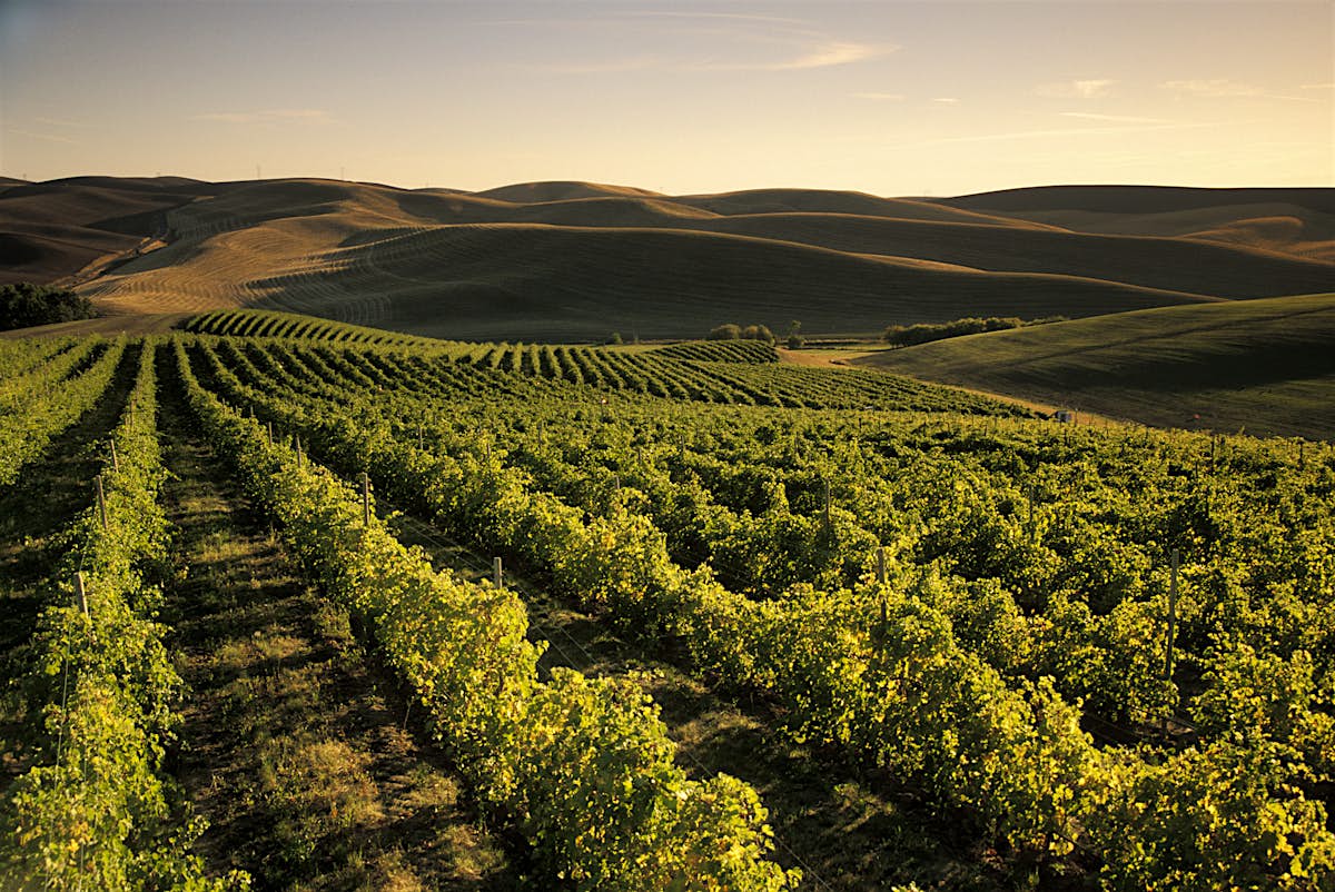 Walla Walla wine country is one of the best kept secrets of the Pacific ...