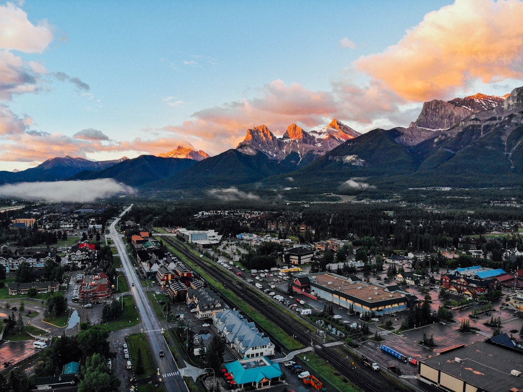 The town of Canmore is overrun with adorable rabbits - Lonely Planet