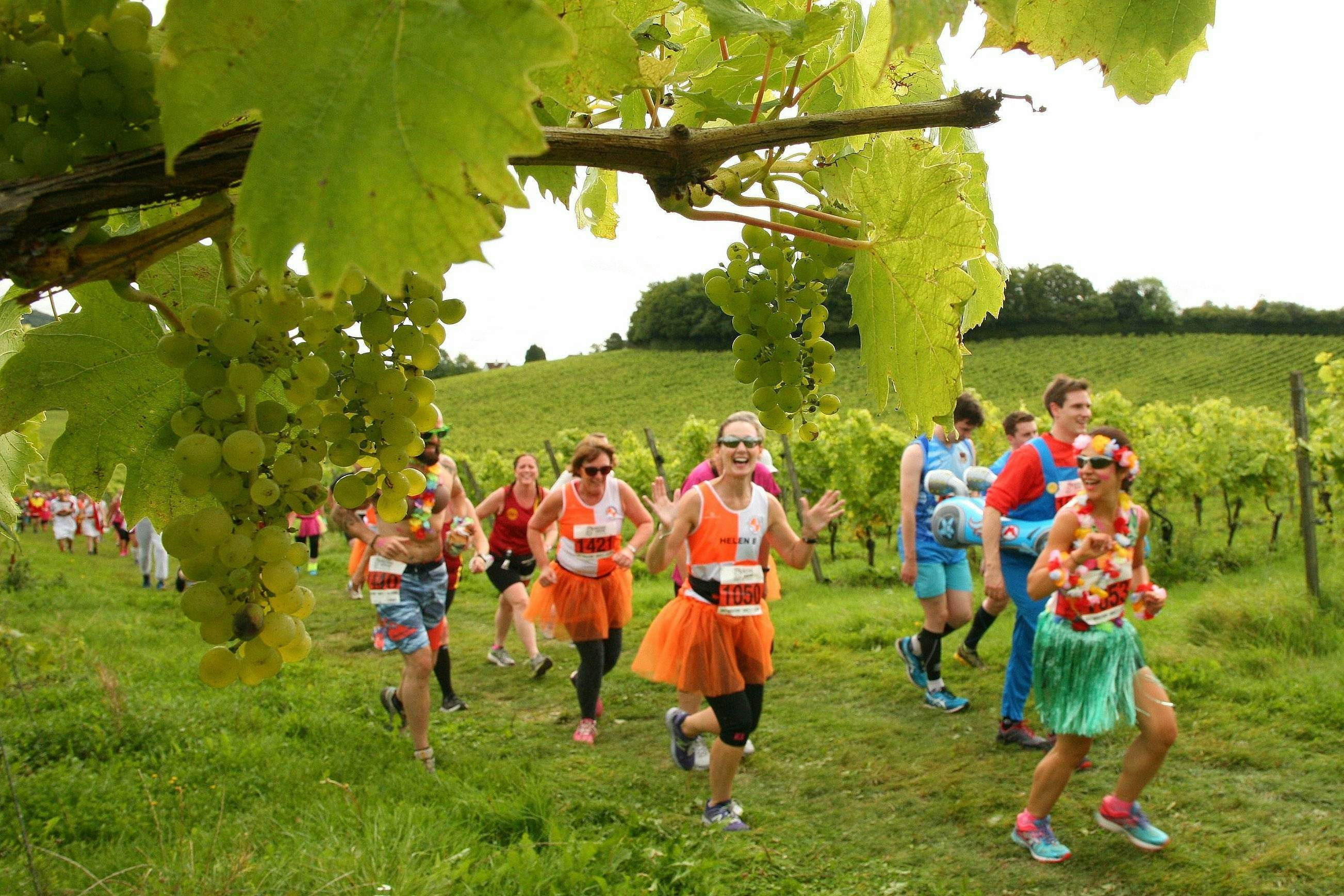 Pace yourself: the world’s booziest races - Lonely Planet