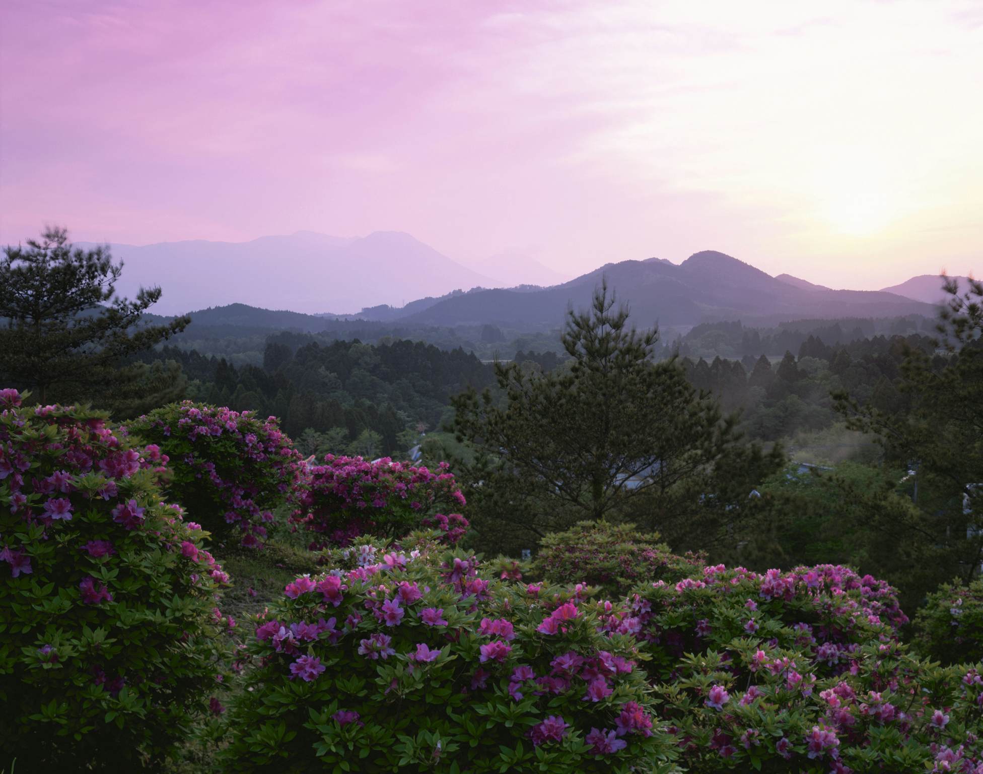 Best national parks in Japan - Lonely Planet