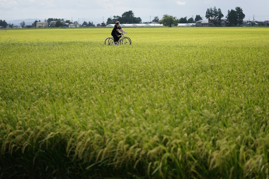 Relax in Japan's rice country - Lonely Planet
