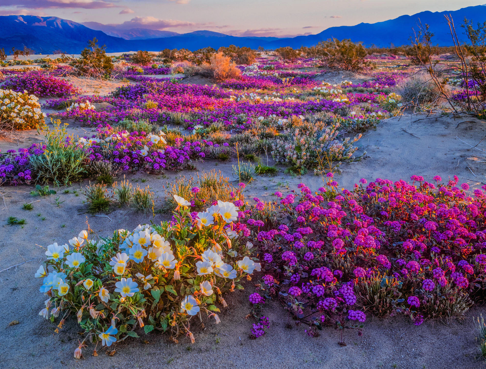 Top socially distant outdoor activities around the US - Lonely Planet