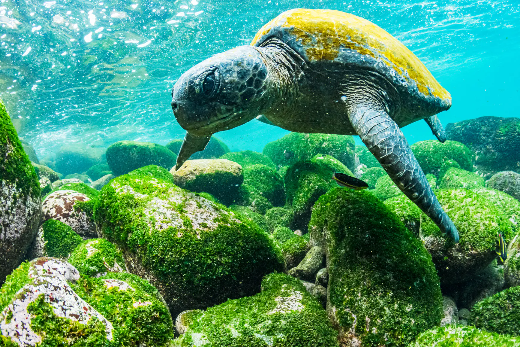 The 17 best things to do in Quito, Ecuador - Lonely Planet