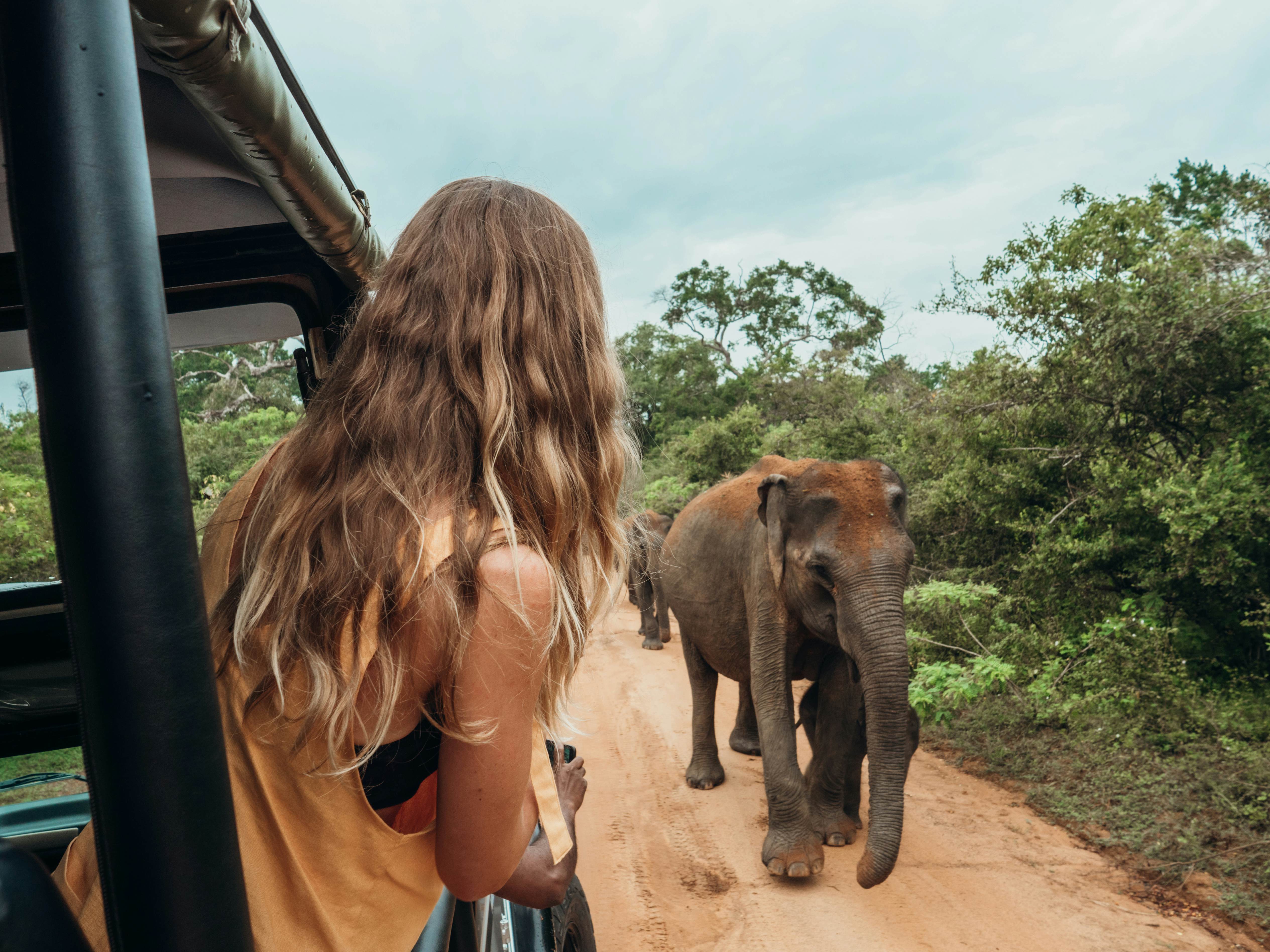 Yala National Park travel - Lonely Planet | Sri Lanka, Asia